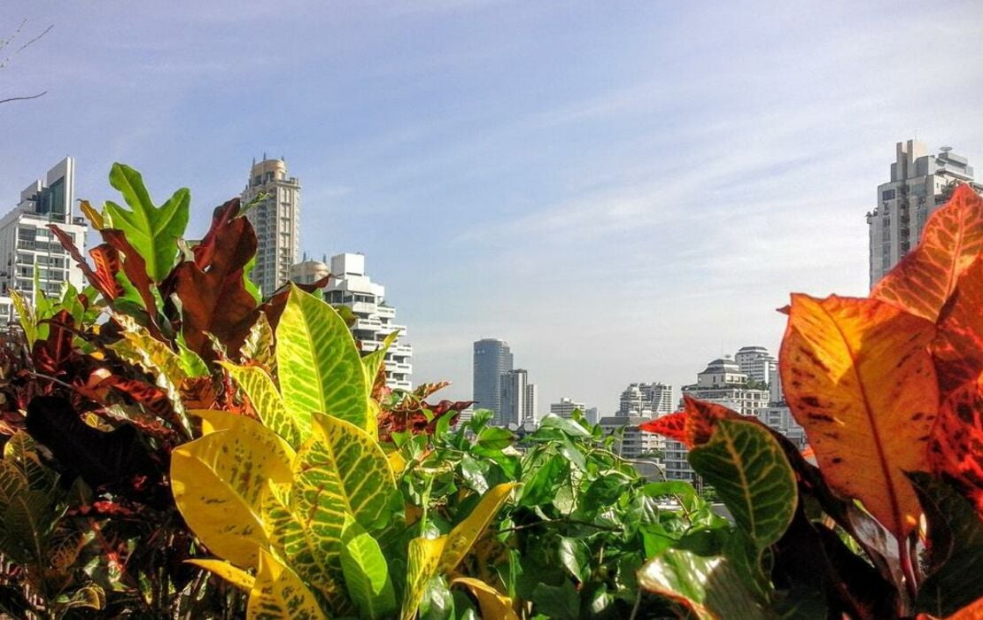 Tints of Blue Hotel, a Design Boutique Hotel Bangkok, Thailand