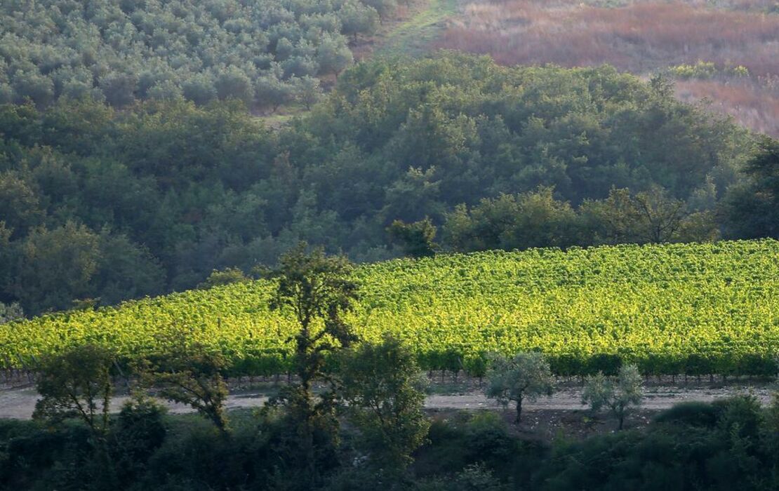 Castello La Leccia, Castellina in Chianti, Italie - My Boutique hotel
