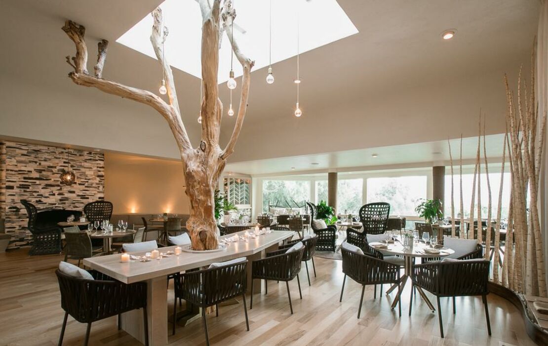 Two Bunch Palms Resort & Spa - Adults Only, a Design Boutique Hotel ...