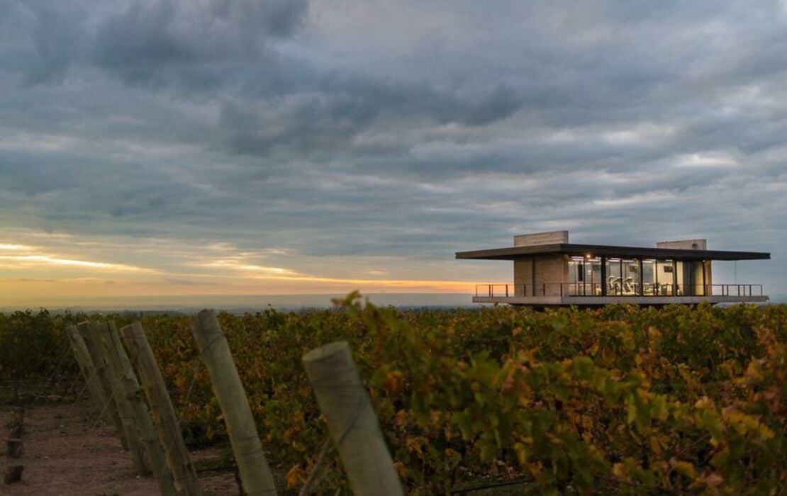 The Vines Resort & Spa, a Design Boutique Hotel Los Sauces, Argentina