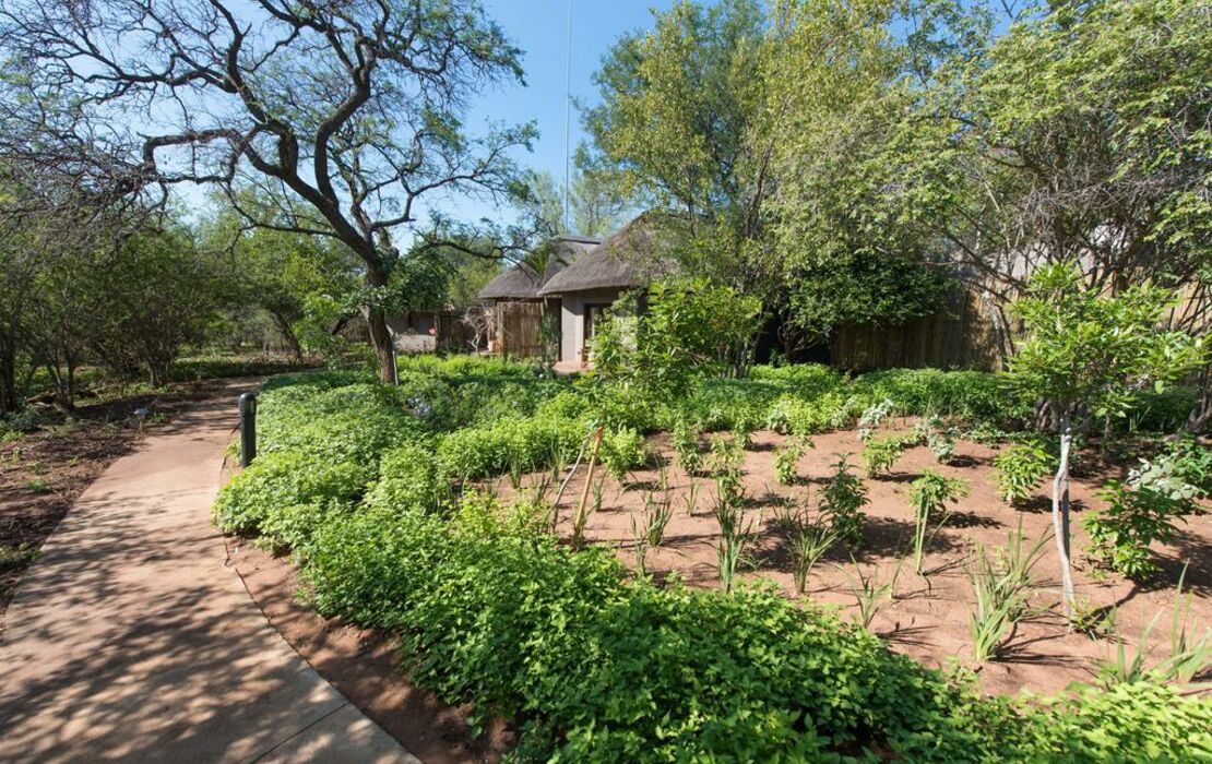 Unembeza Boutique Lodge & Spa, a Design Boutique Hotel Hoedspruit ...