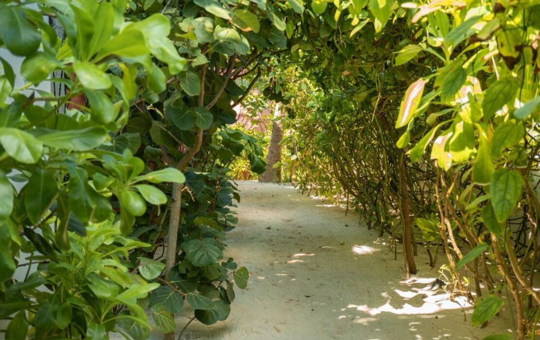 Tago Tulum by G Hotels, a Design Boutique Hotel Tulum, Mexico