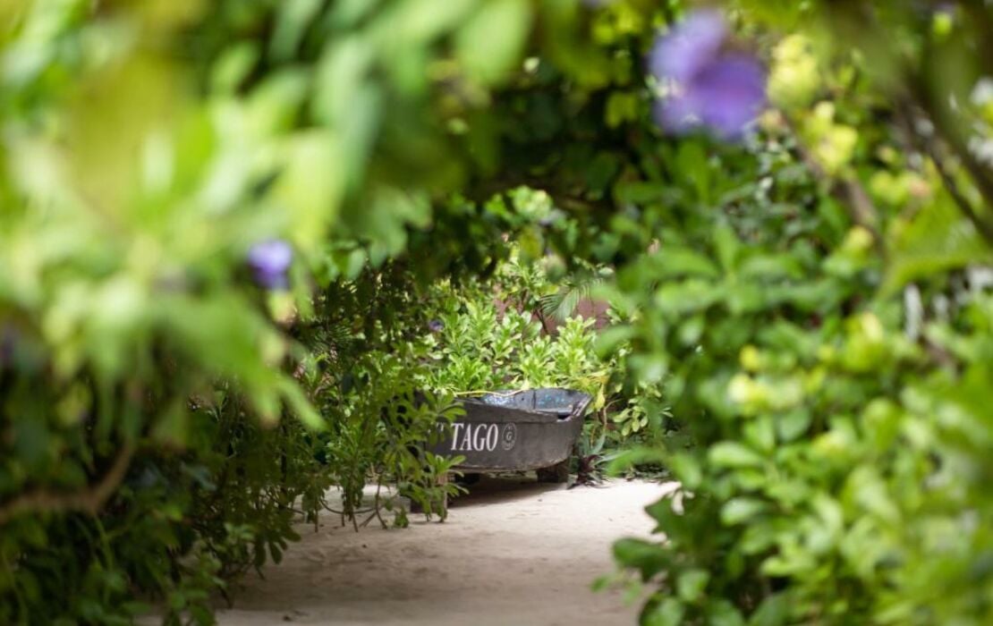 Tago Tulum by G Hotels, a Design Boutique Hotel Tulum, Mexico