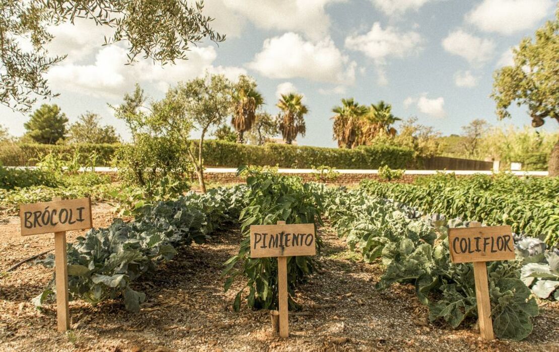 Casa Maca, Ibiza Town, Espagne - My Boutique hotel