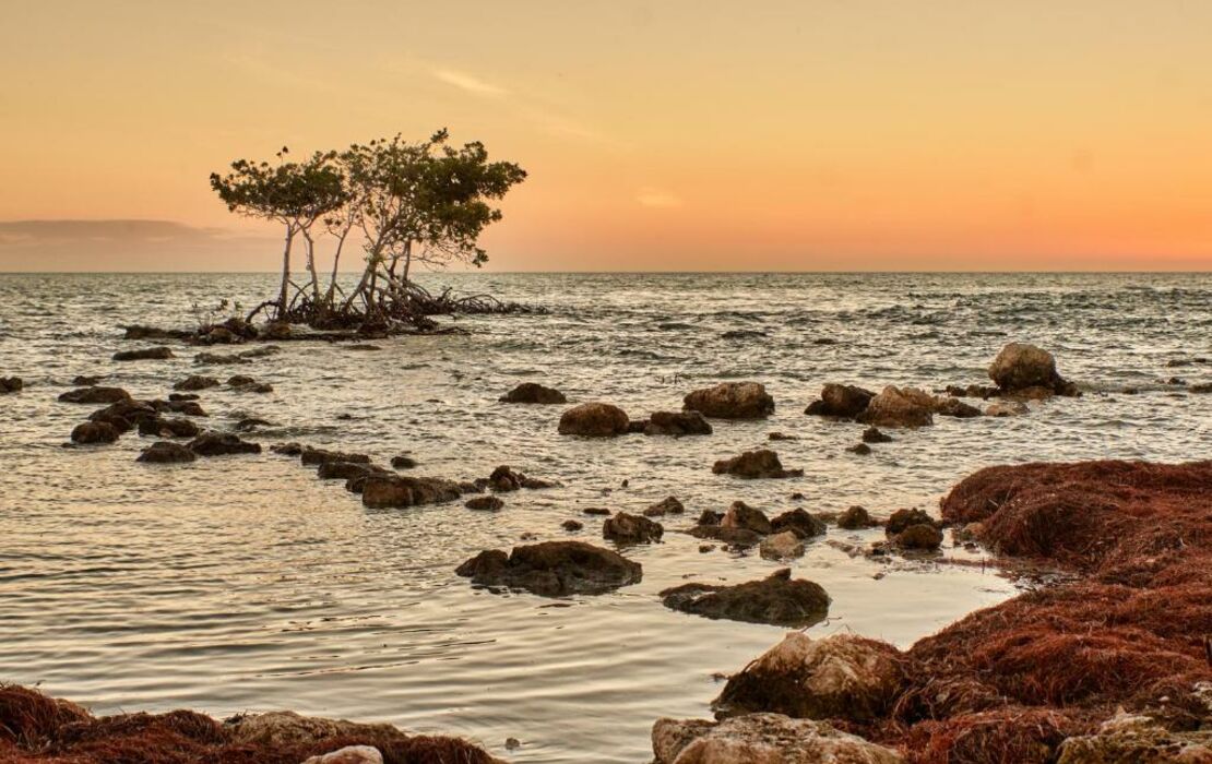 Isla Bella Beach Resort & Spa - Florida Keys, a Design Boutique Hotel ...