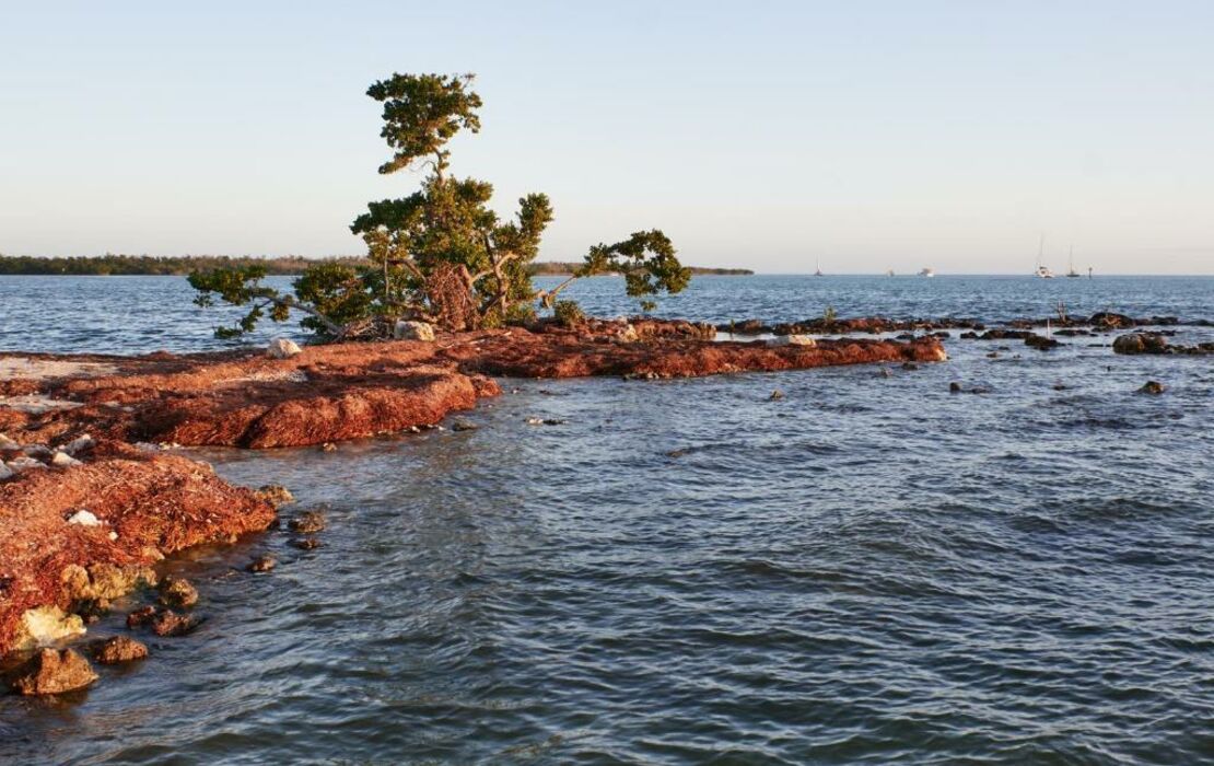 Isla Bella Beach Resort & Spa - Florida Keys, a Design Boutique Hotel ...