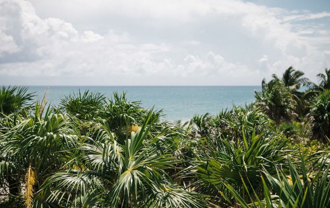 Nest Tulum, a Design Boutique Hotel Tulum, Mexico