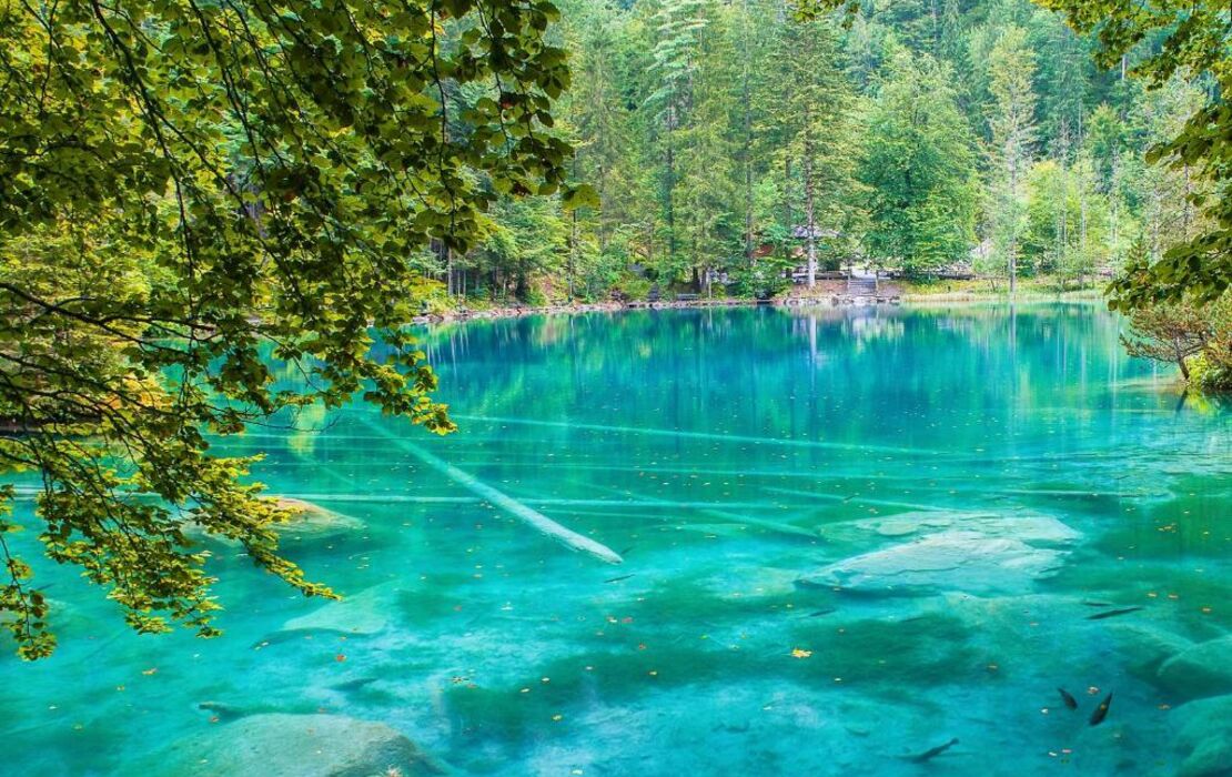 Hotel & Spa Blausee, Kandergrund, Suisse - My Boutique hotel