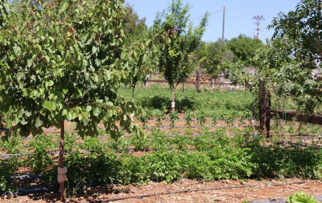 Tenuta Negroamaro, a Design Boutique Hotel Gelibolu, Italy