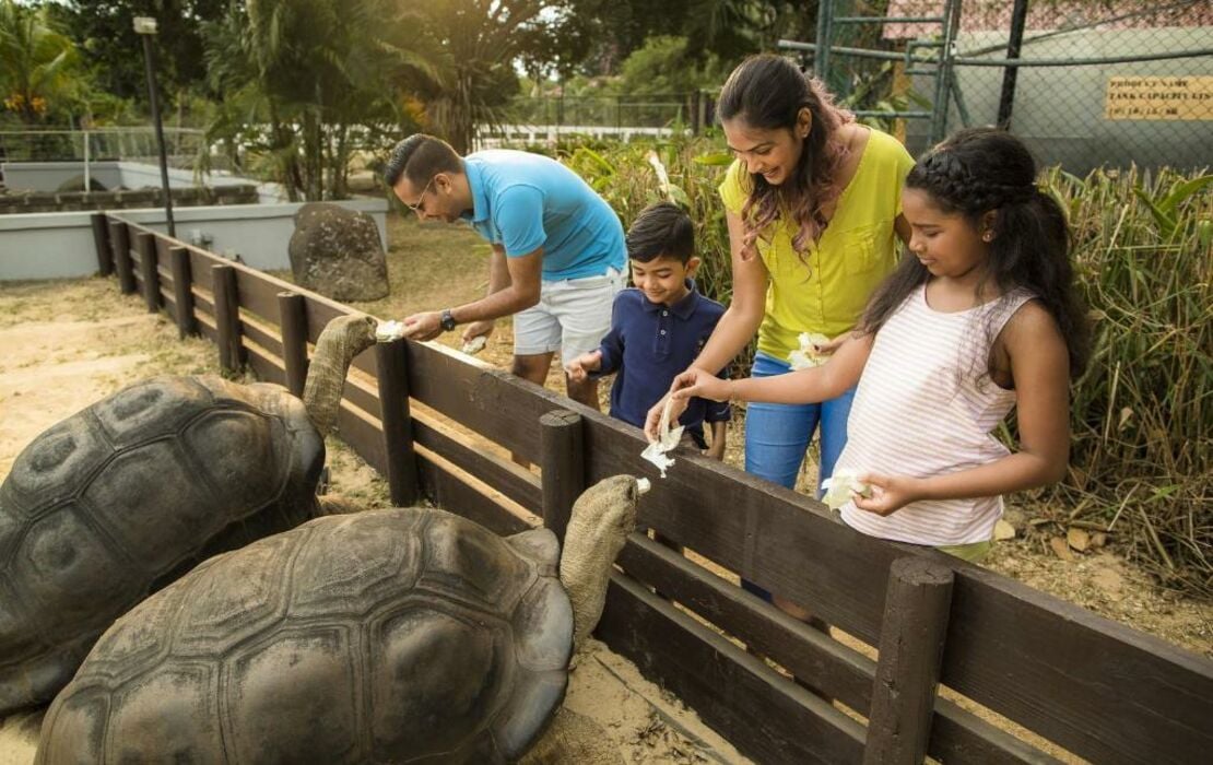 Maritim Resort & Spa Mauritius, a Design Boutique Hotel Balaclava ...