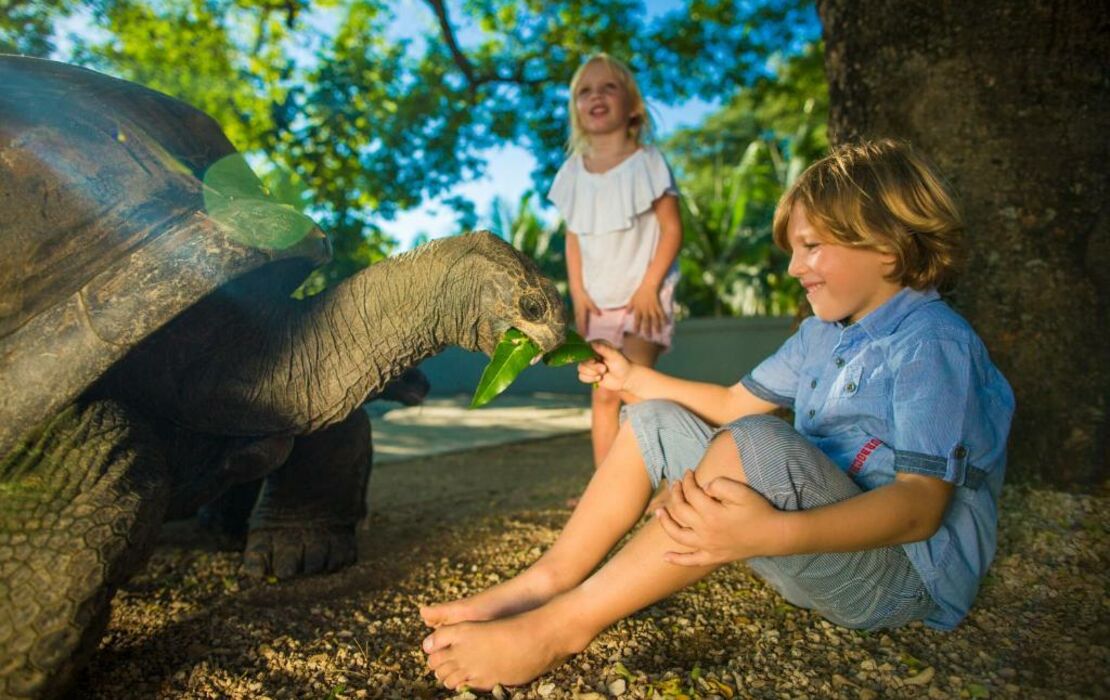 Maritim Resort & Spa Mauritius, a Design Boutique Hotel Balaclava ...