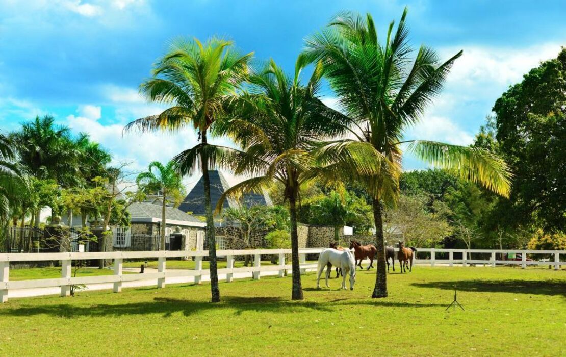 Maritim Resort & Spa Mauritius, a Design Boutique Hotel Balaclava ...