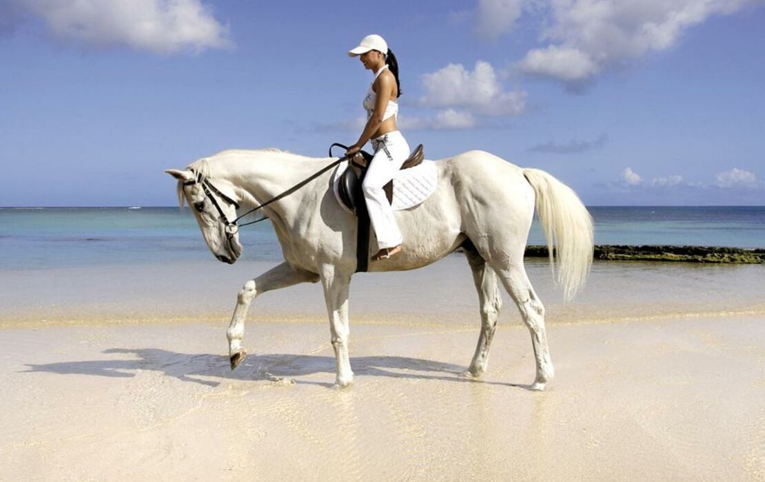 Maritim Resort & Spa Mauritius, a Design Boutique Hotel Balaclava ...