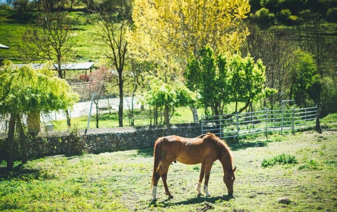 Intrepid Hotel Rural - Adults Only, a Design Boutique Hotel Pi, Spain