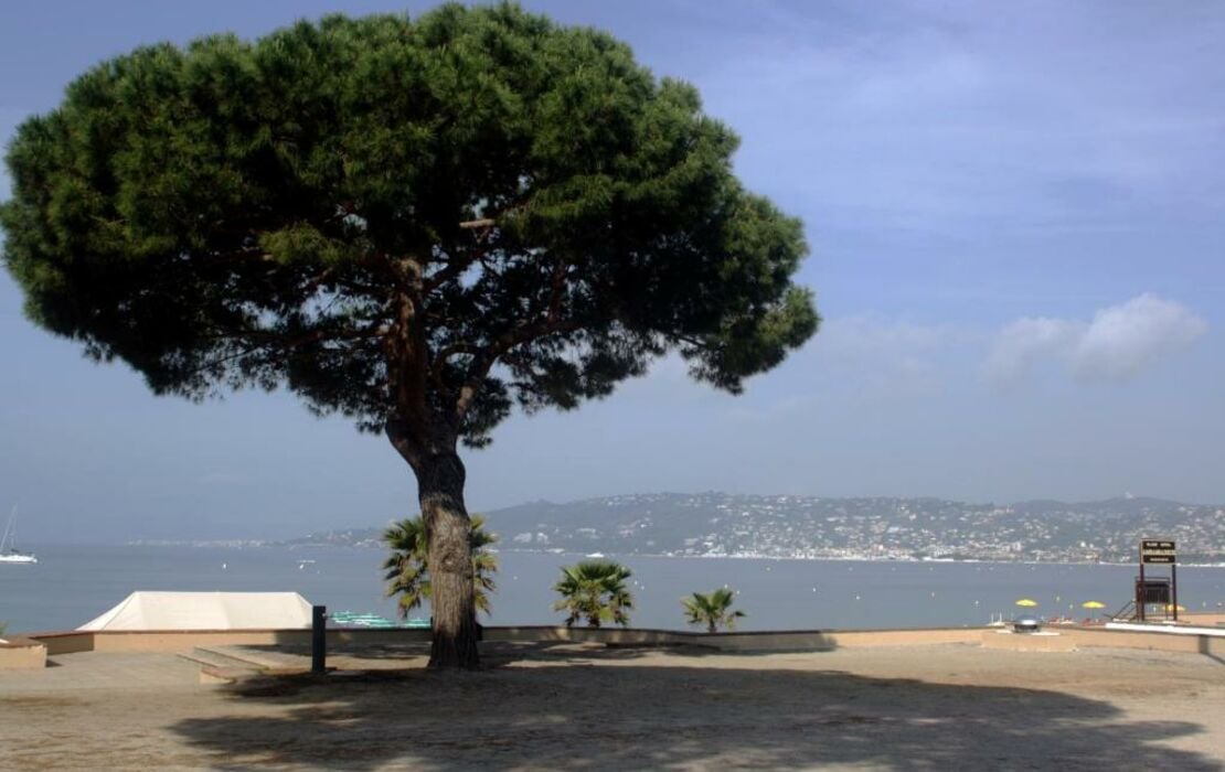 Le 1932 Hotel & Spa Cap d'Antibes - MGallery, Antibes, Francia