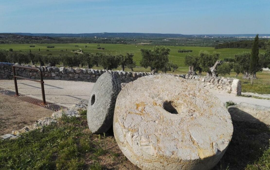 Masseria Amastuola Wine Resort, a Design Boutique Hotel Crispiano, Italy