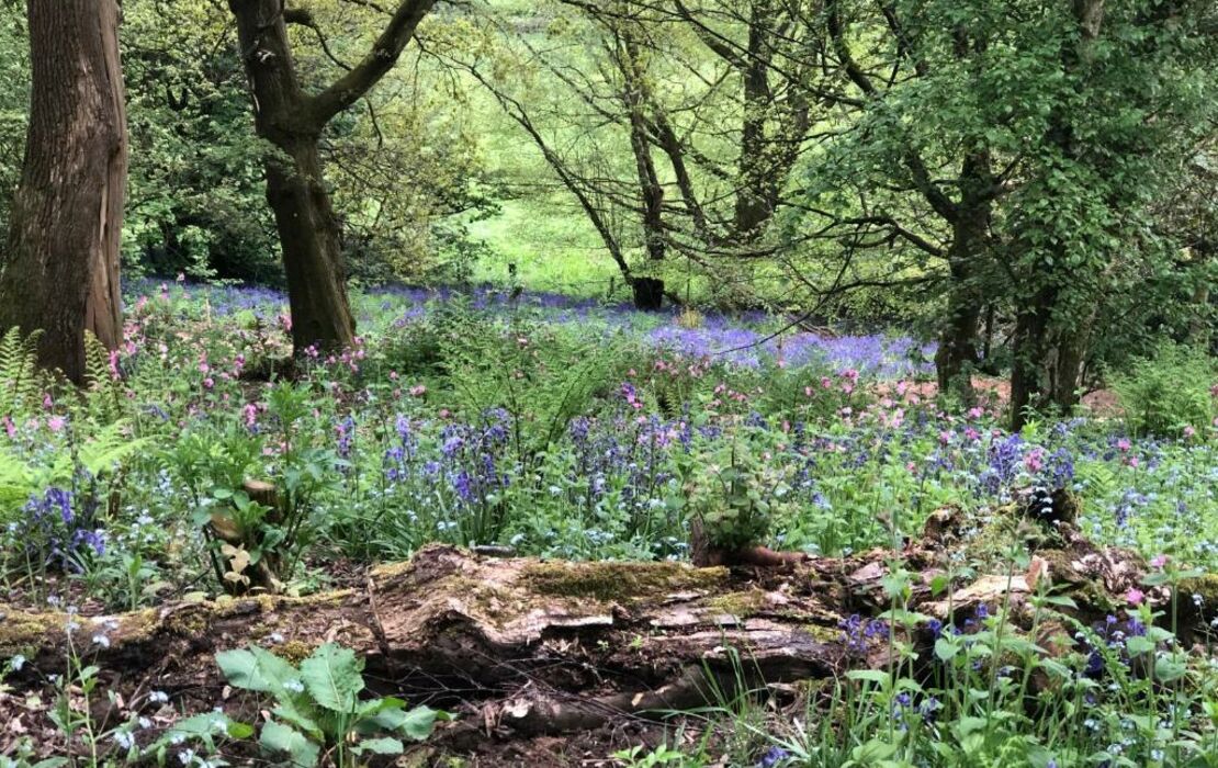 Wildhive Callow Hall, a Design Boutique Hotel Ashbourne, United Kingdom