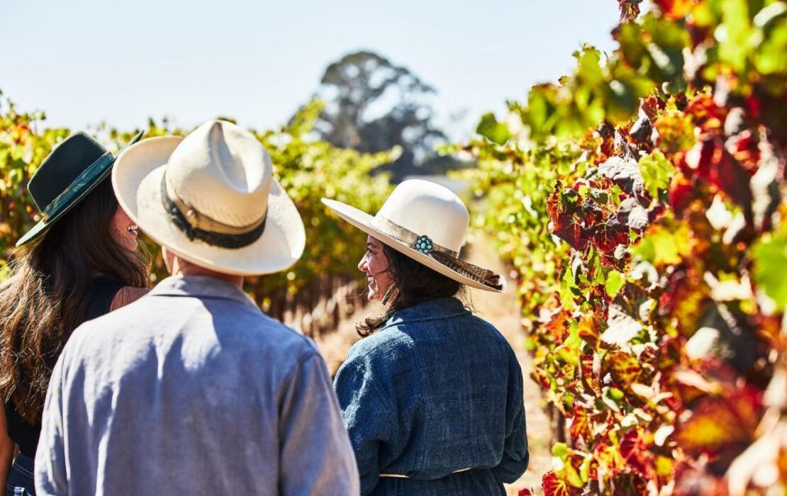 Stanly Ranch, Auberge Resorts Collection, Napa, États-Unis - My ...