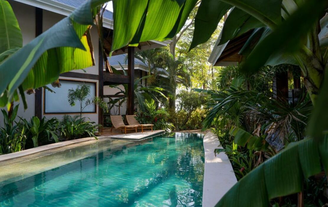Blue Mist Hotel- Adults Only, a Design Boutique Hotel Santa Teresa ...