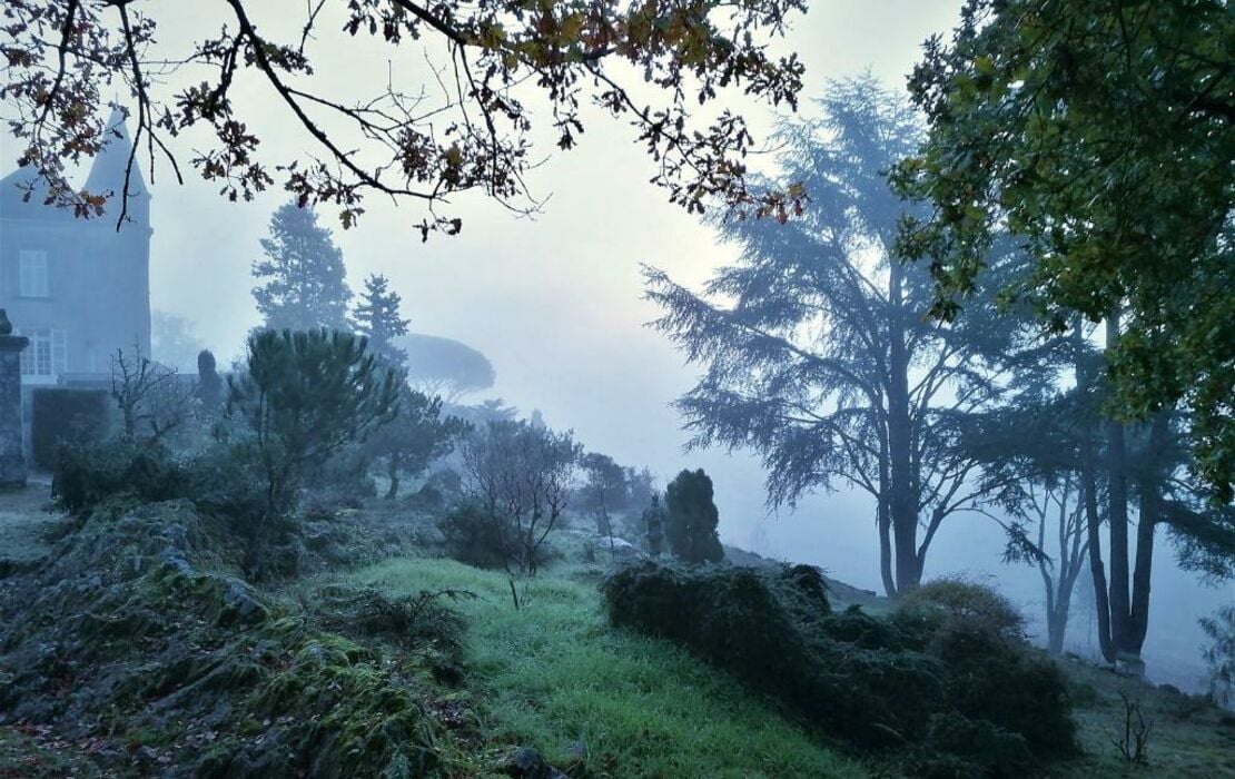 Château Haute Roche, Oudon, Francia