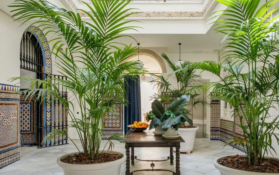 Santa Paula Pool & Luxury, a Design Boutique Hotel Seville, Spain