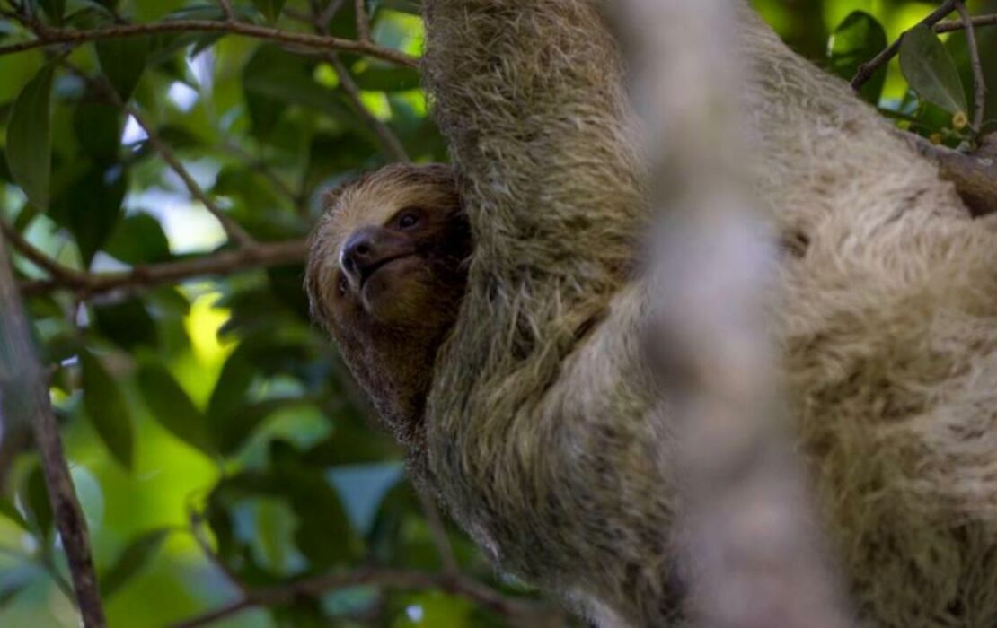 Hideaway Rio Celeste Hotel, a Design Boutique Hotel Bijagua, Costa Rica