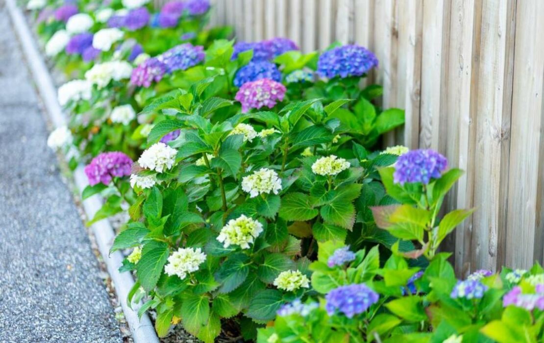 La Frégate, a Design Boutique Hotel Cap Ferret, France