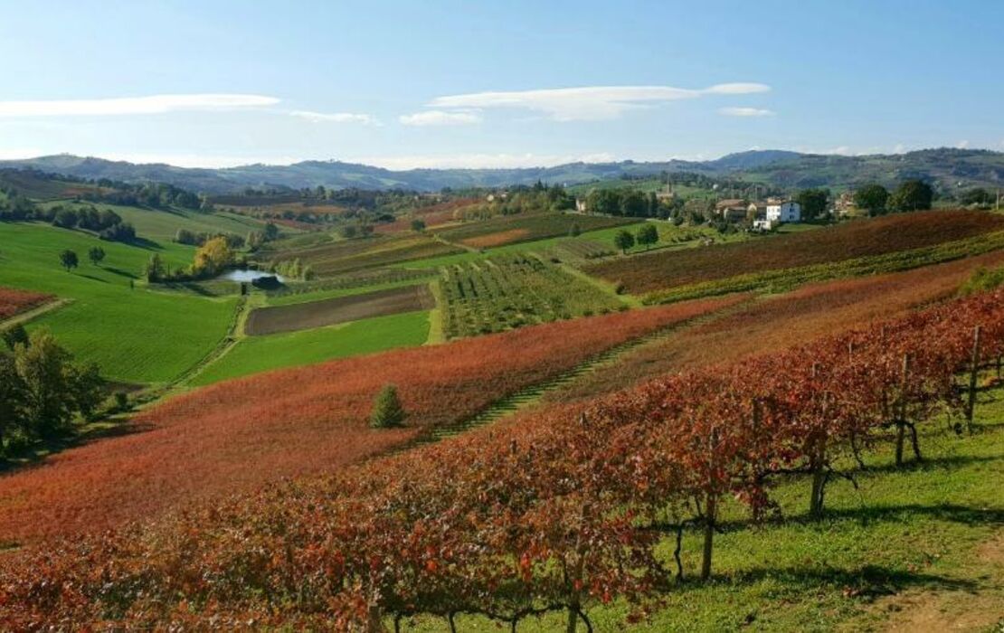Agriturismo Opera 02, Castelvetro di Modena, Italien