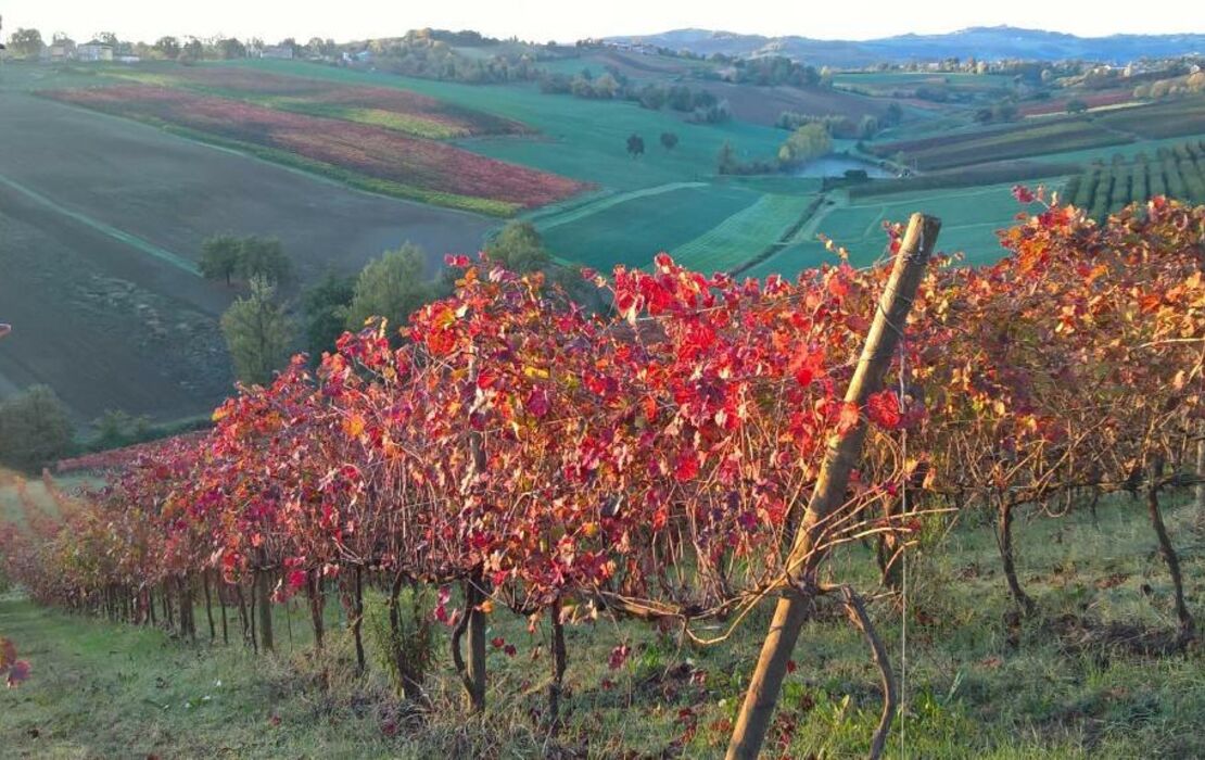 Agriturismo Opera 02, a Design Boutique Hotel Castelvetro di Modena, Italy