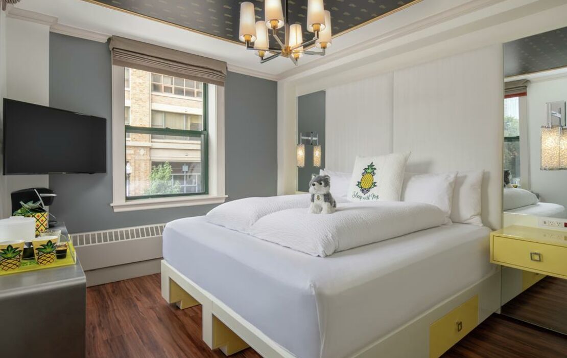 Staypineapple, A Delightful Hotel, South End, Boston, Vereinigte ...