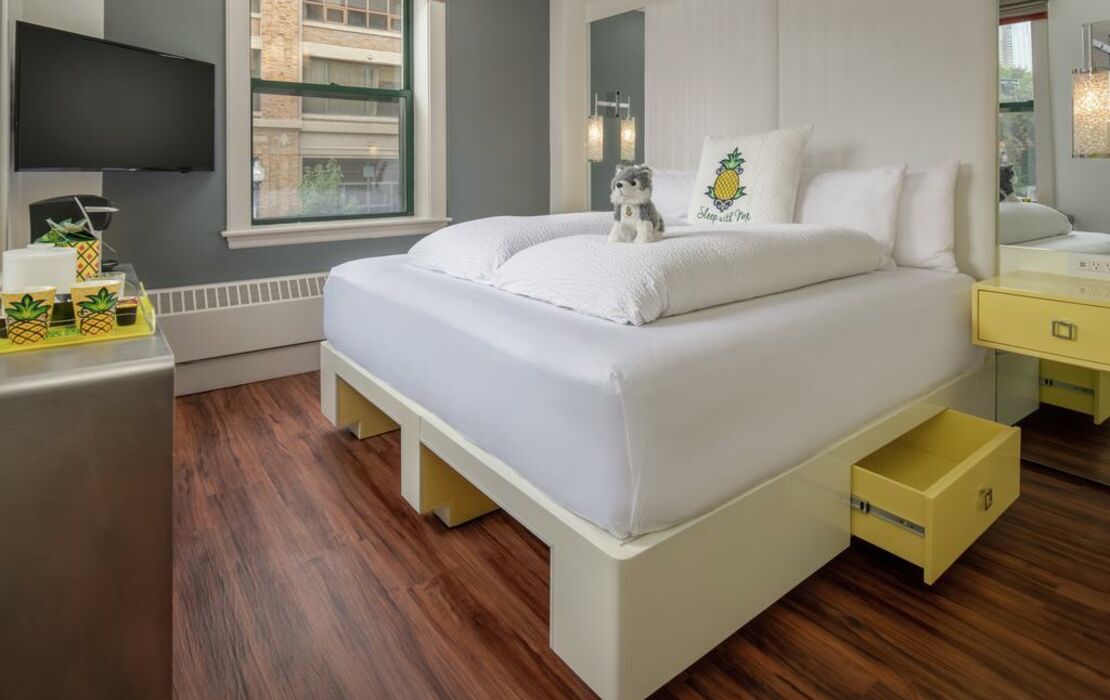 Staypineapple, A Delightful Hotel, South End, a Design Boutique Hotel ...