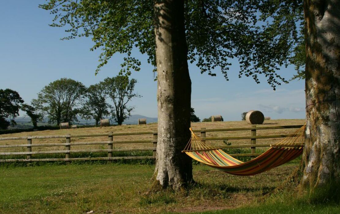 The Grove Narberth, a Design Boutique Hotel Narberth, United Kingdom