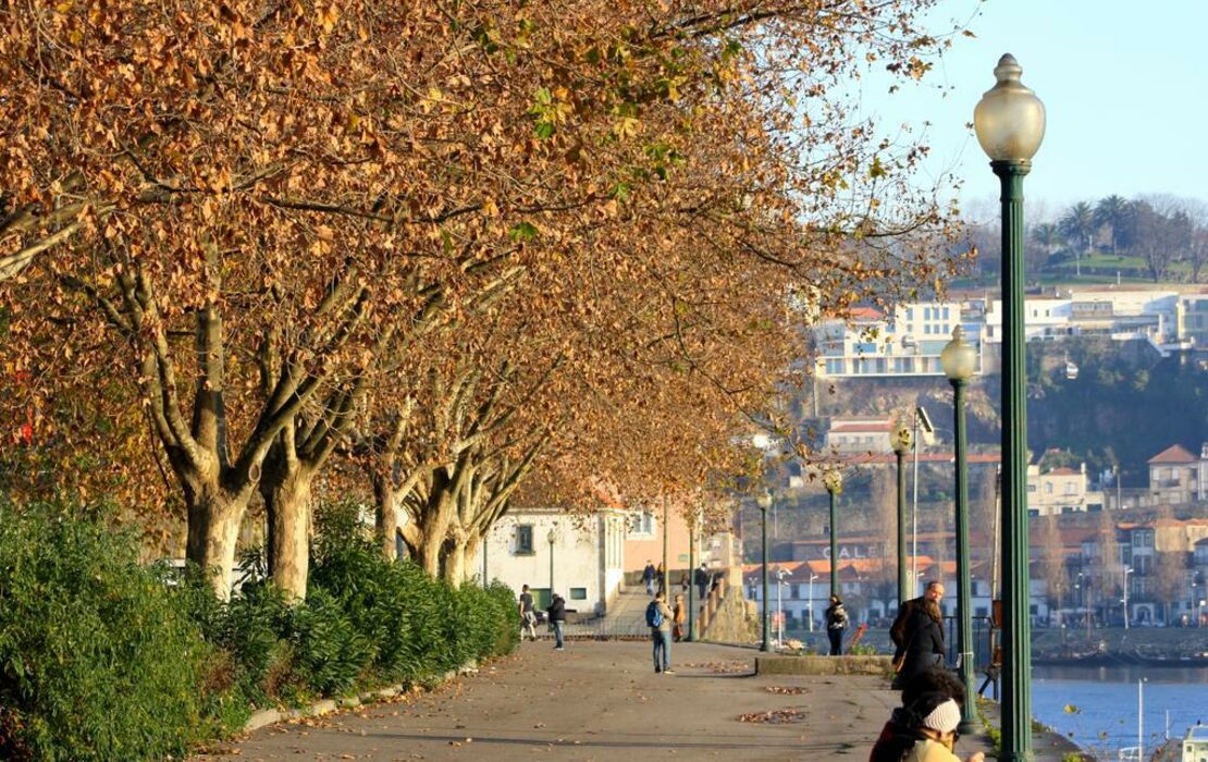 GuestReady - Porto de Rio, Porto, Portugal - My Boutique hotel